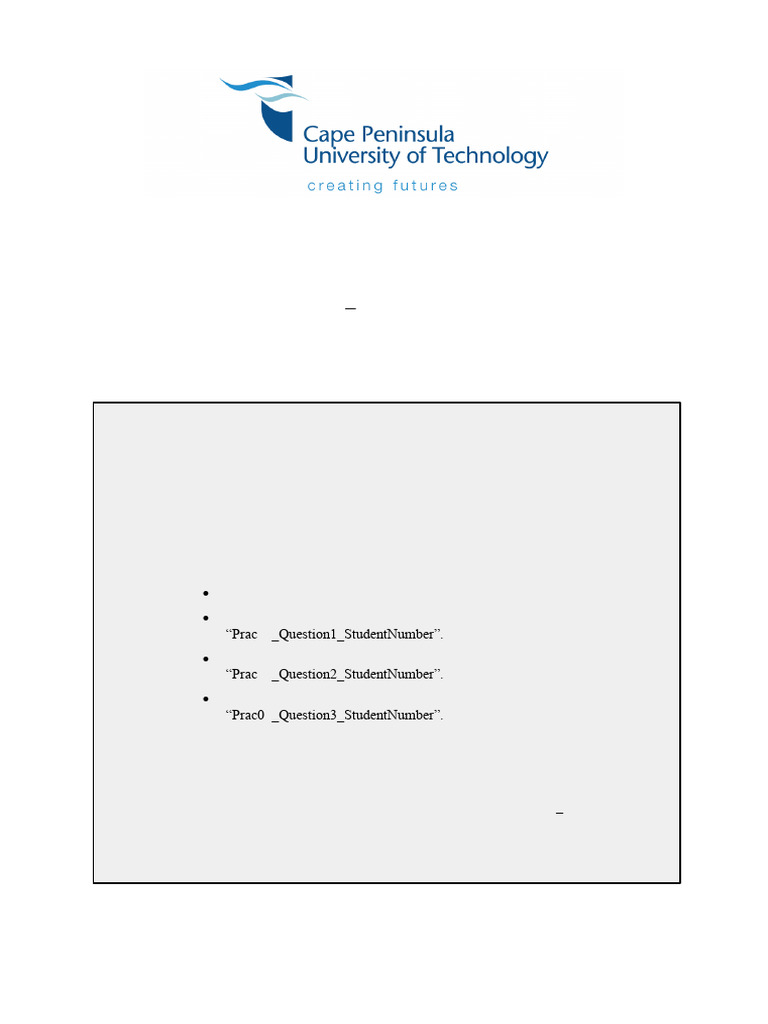 2025 Practical 6 Guideline | PDF | Pointer (Computer Programming) | Computer File