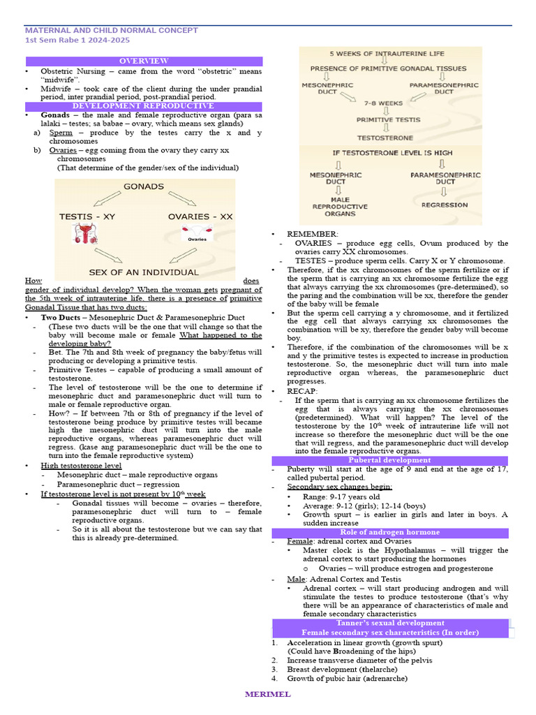 Maternal RABE 1 | PDF | Uterus | Pelvis