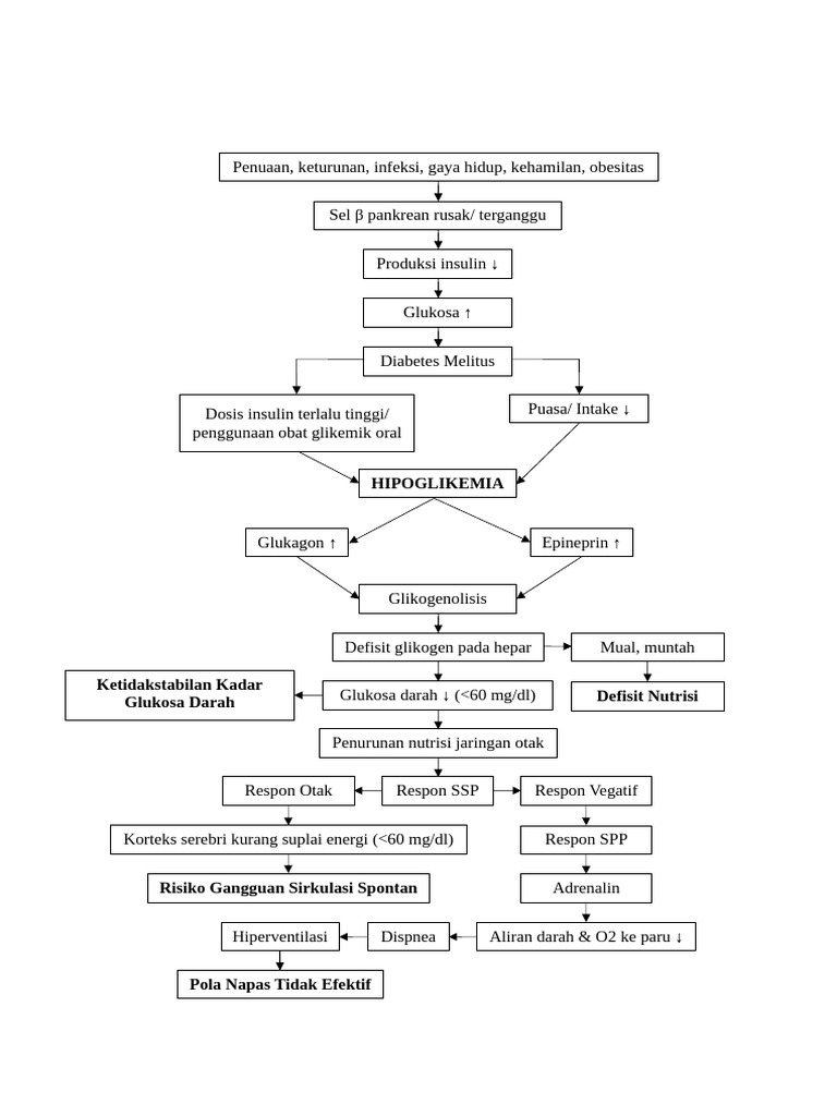 Pathway Hipoglikemia | PDF