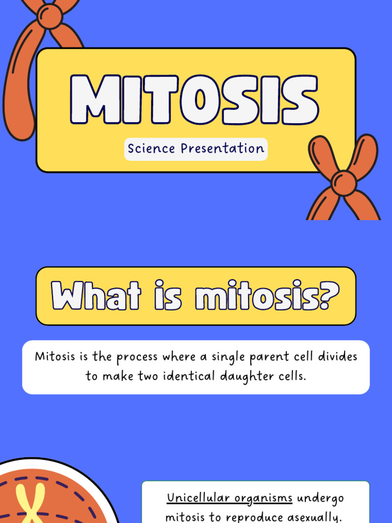 Mitosis Science Presentation in Blue Yellow Flat Graphic Style | PDF
