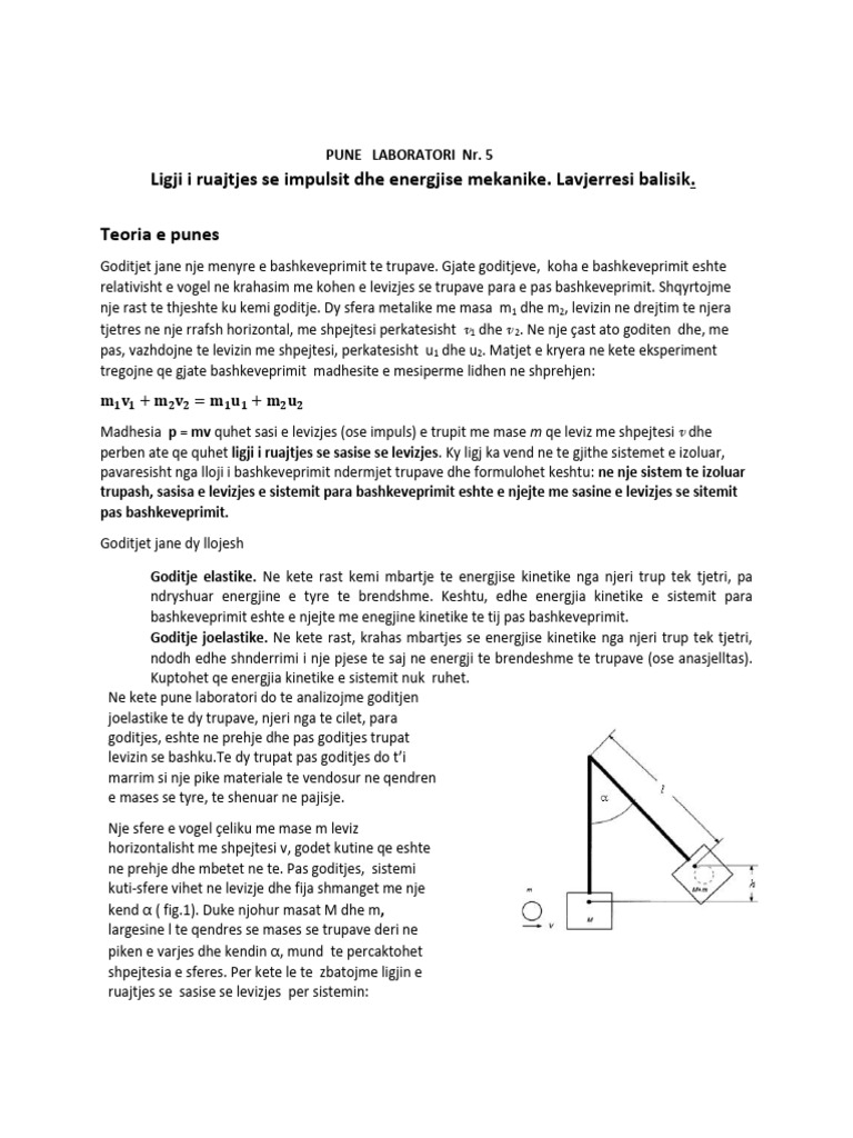 812400901-Model-Relacionesh-Laboratoresh-fizika-1-2024-2025 | PDF