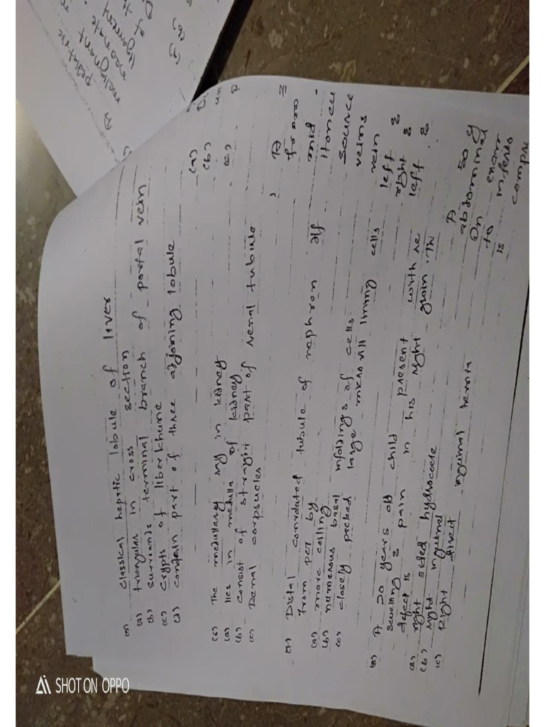 Anatomy Past Papers Pumhs... | PDF
