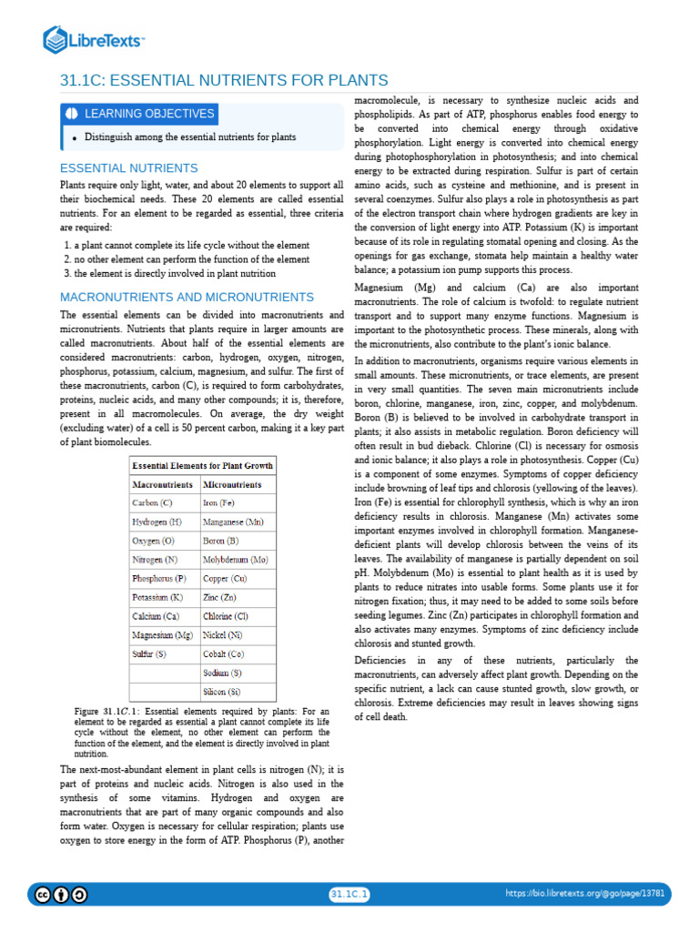 31.1C Essential Nutrients For Plants | PDF | Plant Nutrition | Nutrients