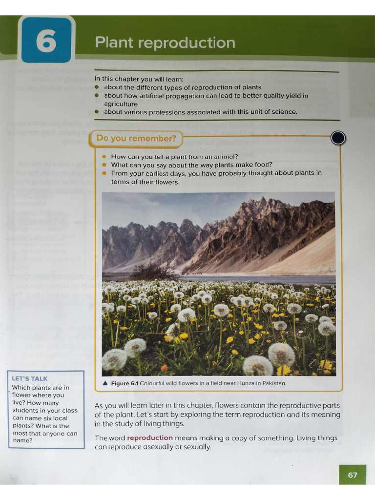 Plant Reproduction Textbook Pages | PDF
