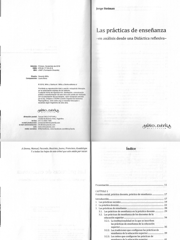 Cap 1 STEIMAN-2018 - Las Prácticas de Enseñanza | PDF