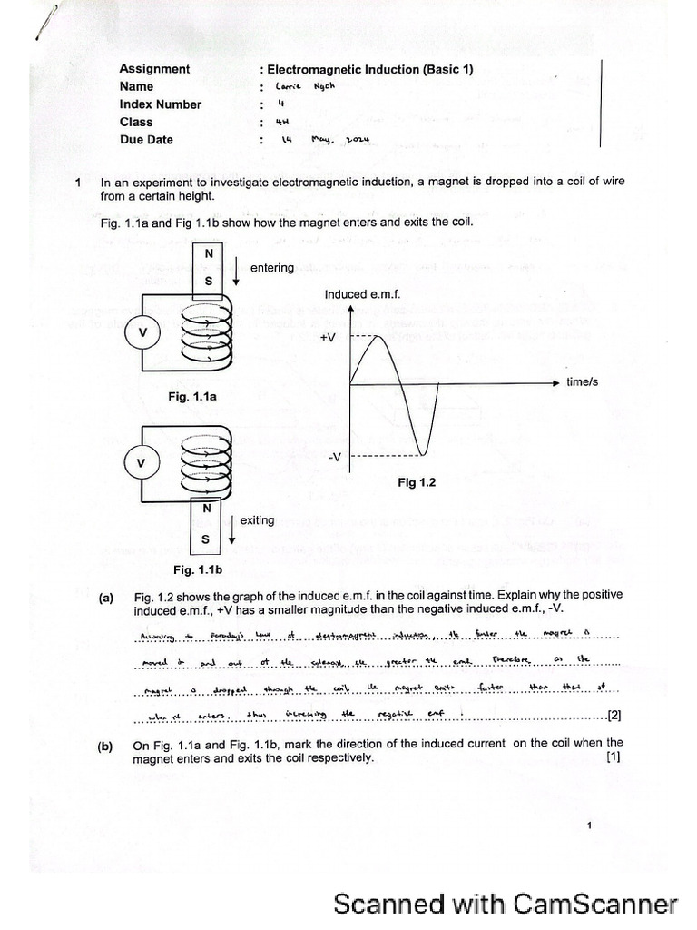 em induction (basic 1) | PDF