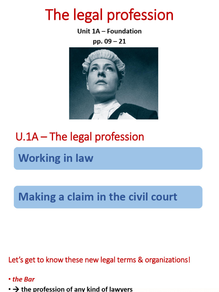 Overview of the Legal Profession | PDF | Barrister | Lawyer