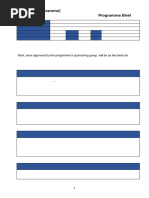 Programme Brief Overview Template | PDF | Risk | Business