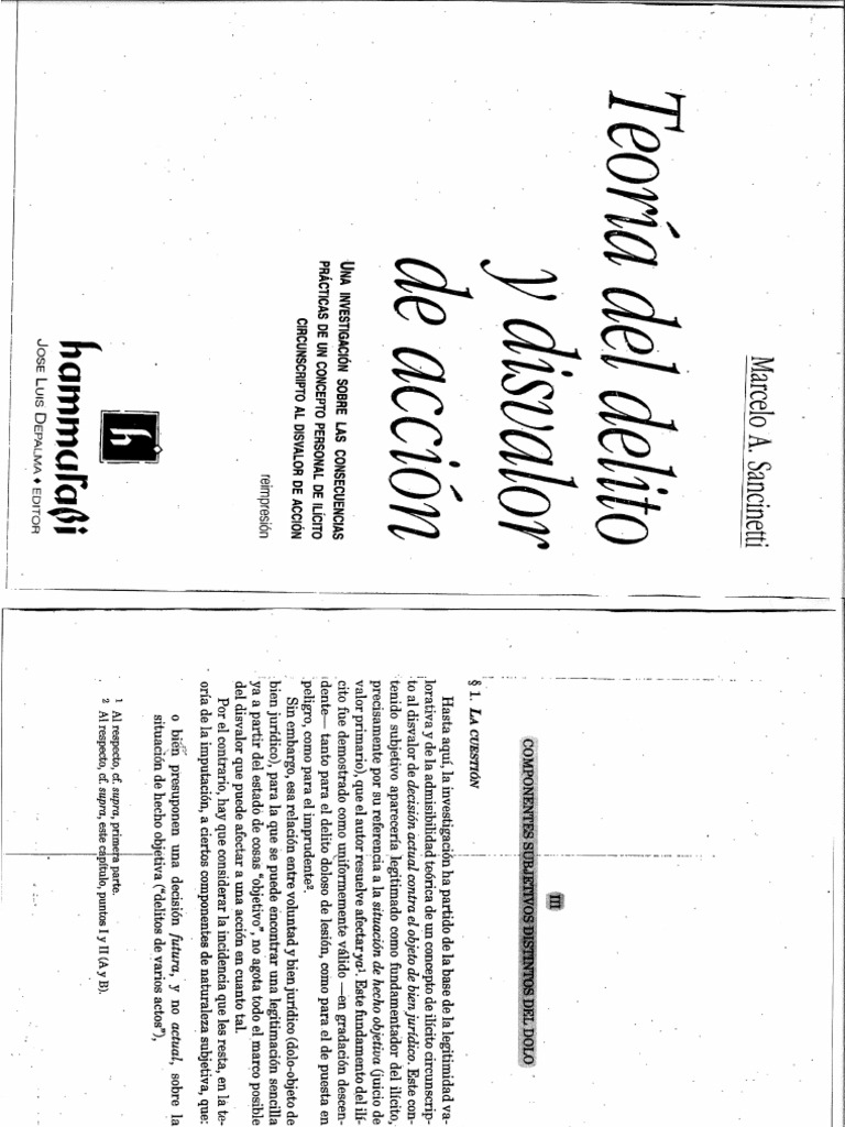 Sancinetti - EESDD Pp. 306, 307, 348 | PDF