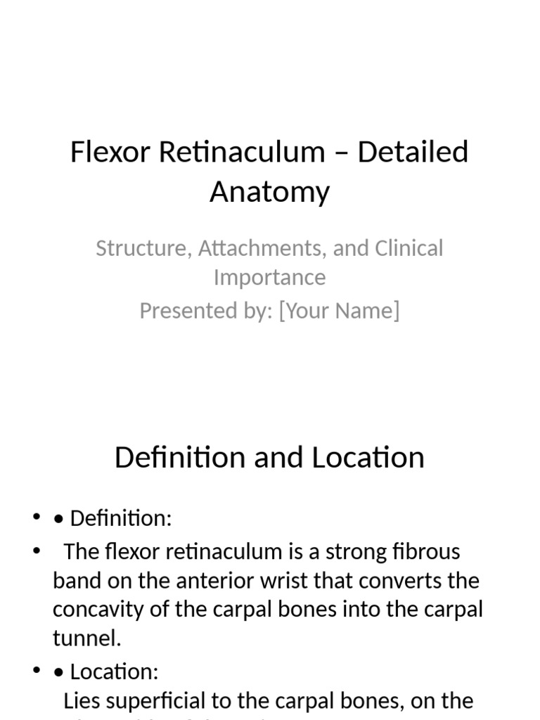 Flexor Retinaculum Anatomy | PDF
