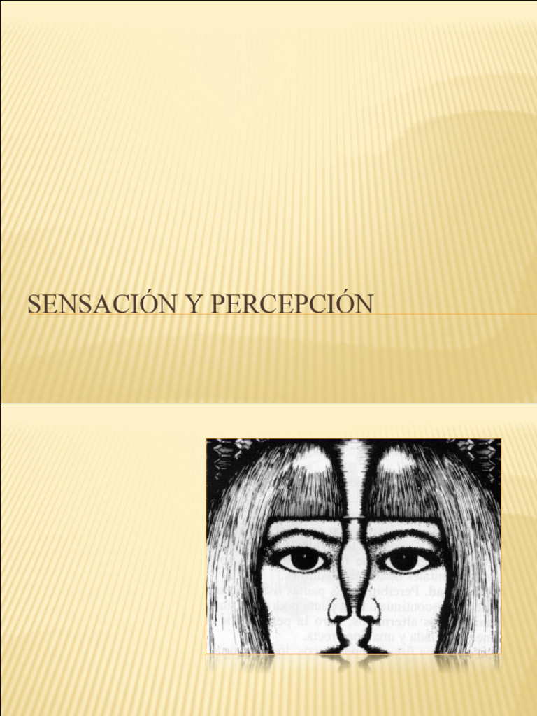 Sensación y Percepción | PDF | Percepción | Sentidos