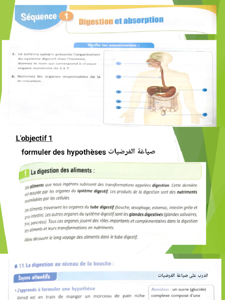 La Digestion Et L'absorption - Phoenix | PDF
