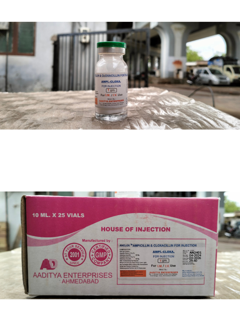 AMPI-CLOXA 1 GM | PDF