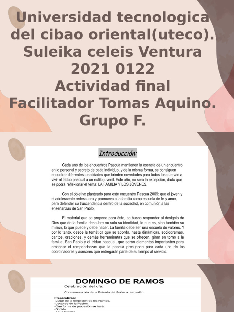 Actividad Final | PDF