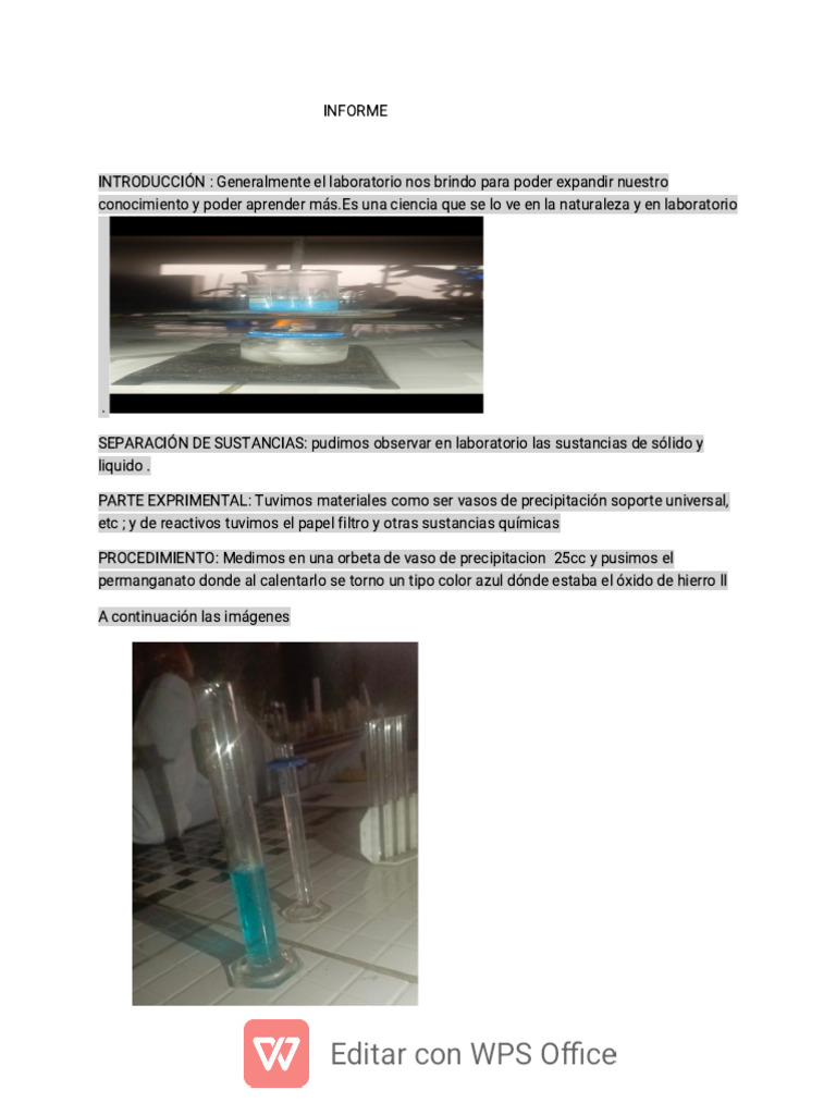 Informe Wps Office | PDF