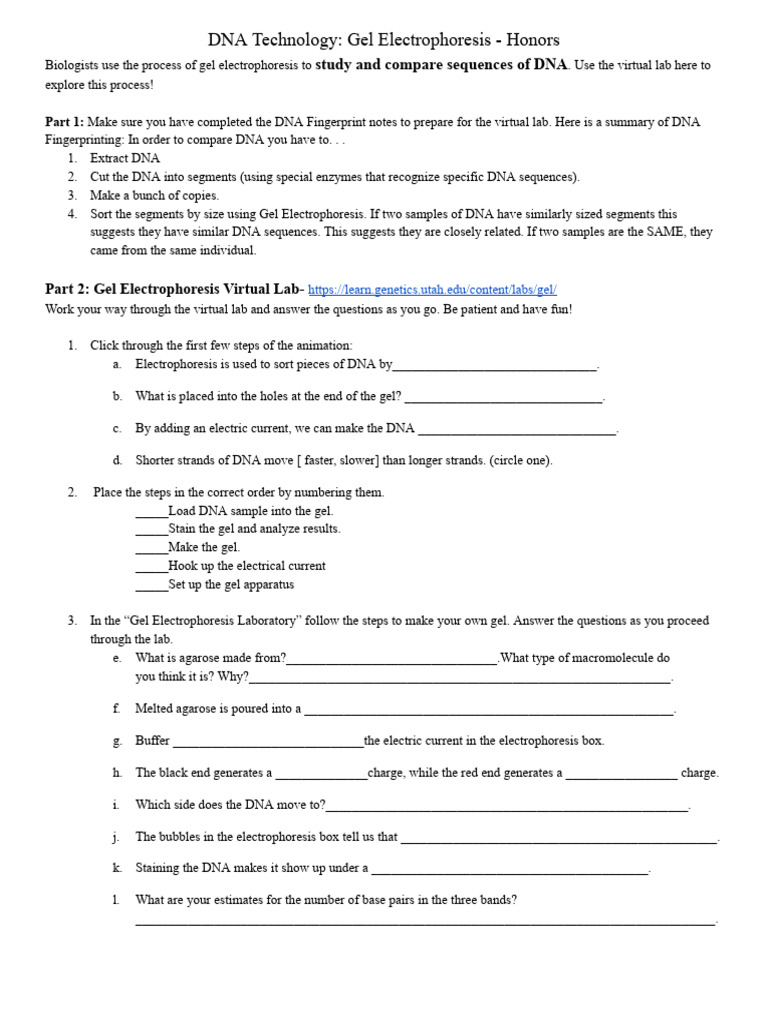 Gel Electrophoresis Virtual Lab Guide | PDF | Gel Electrophoresis ...