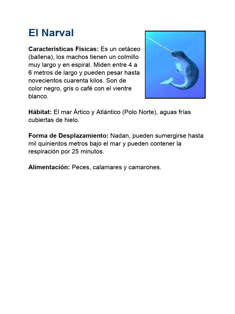 El Narval | PDF