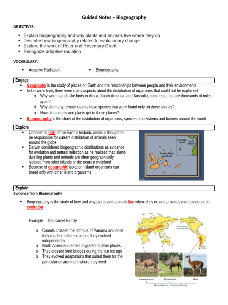 U9 Biogeography Completed Notes | PDF | Biogeography | Island