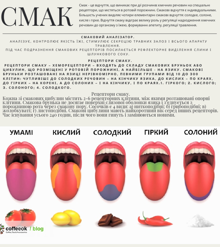 Ingoude Company | PDF