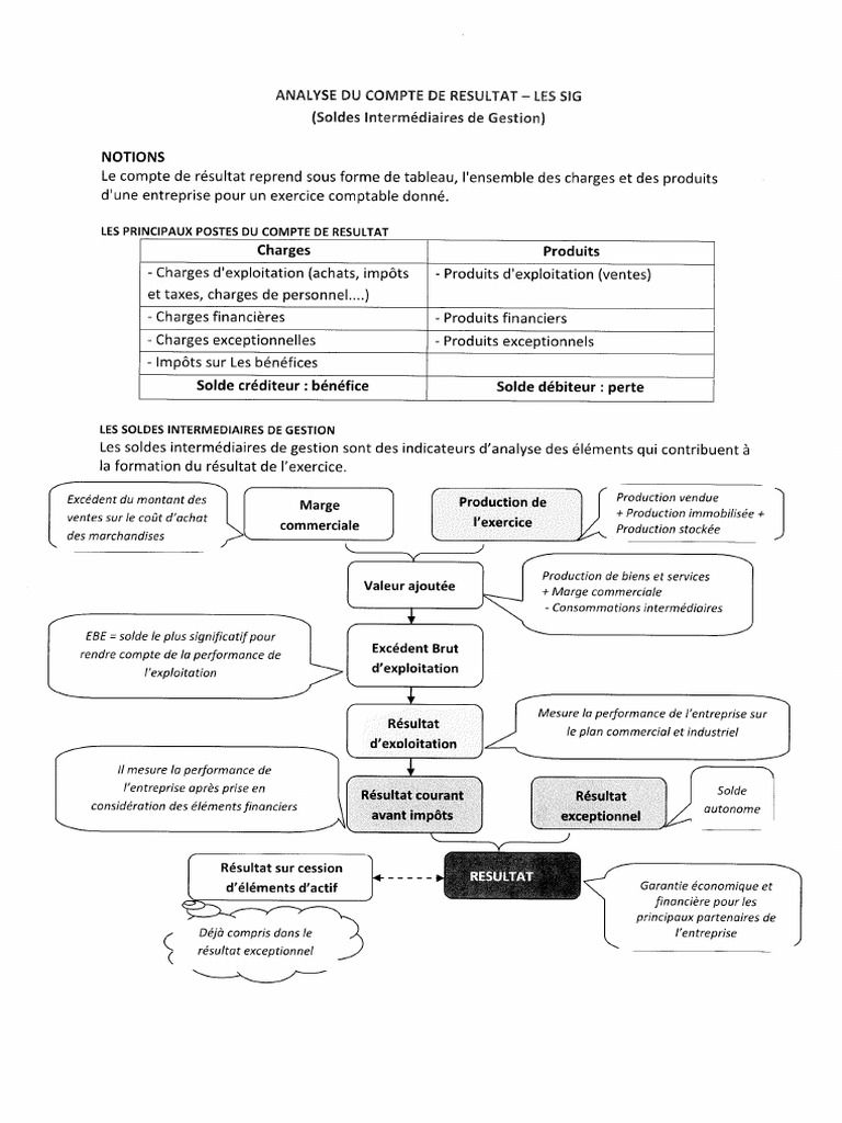 Analyse Du Compte de Résultat SIG | PDF