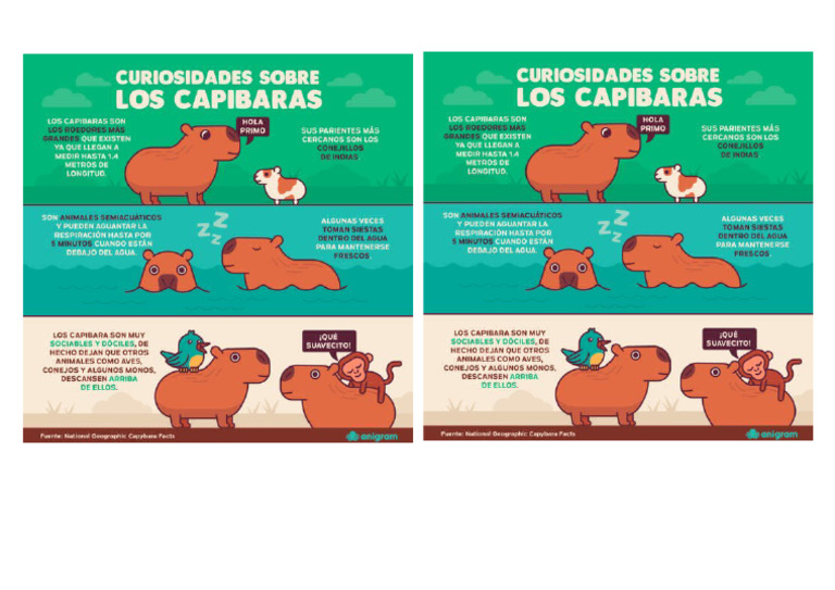 Curiosidades de Los Carpinchos | PDF