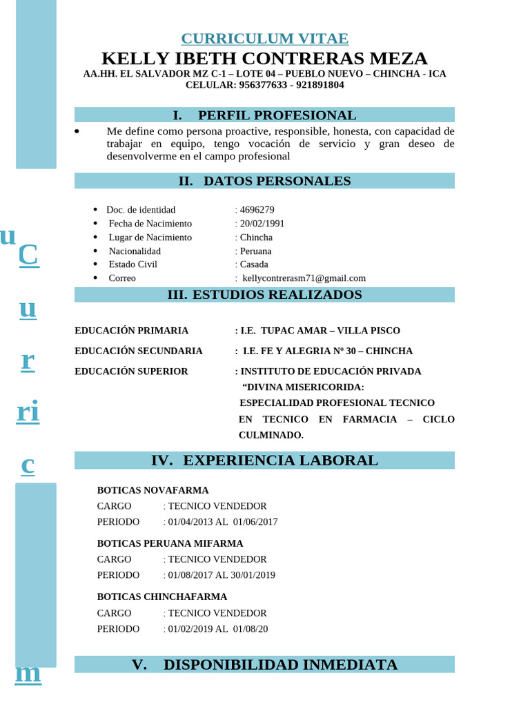 Curriculum Kelly Contreras Meza | PDF