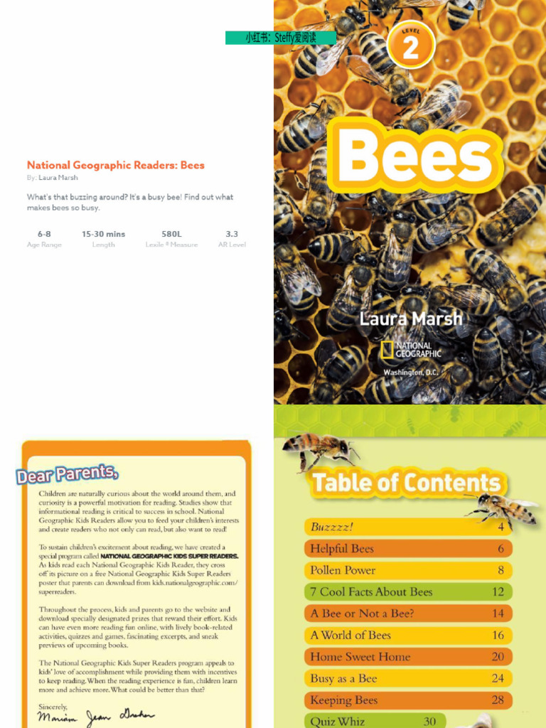 04 Bees | PDF
