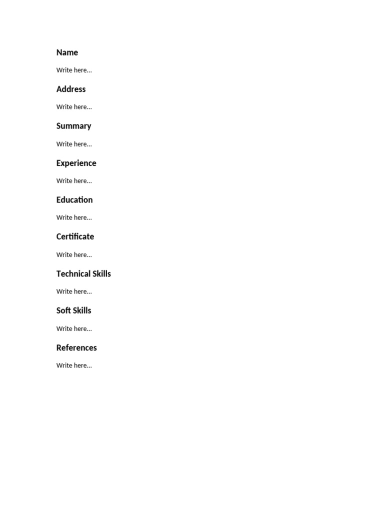 Professional CV Template | PDF