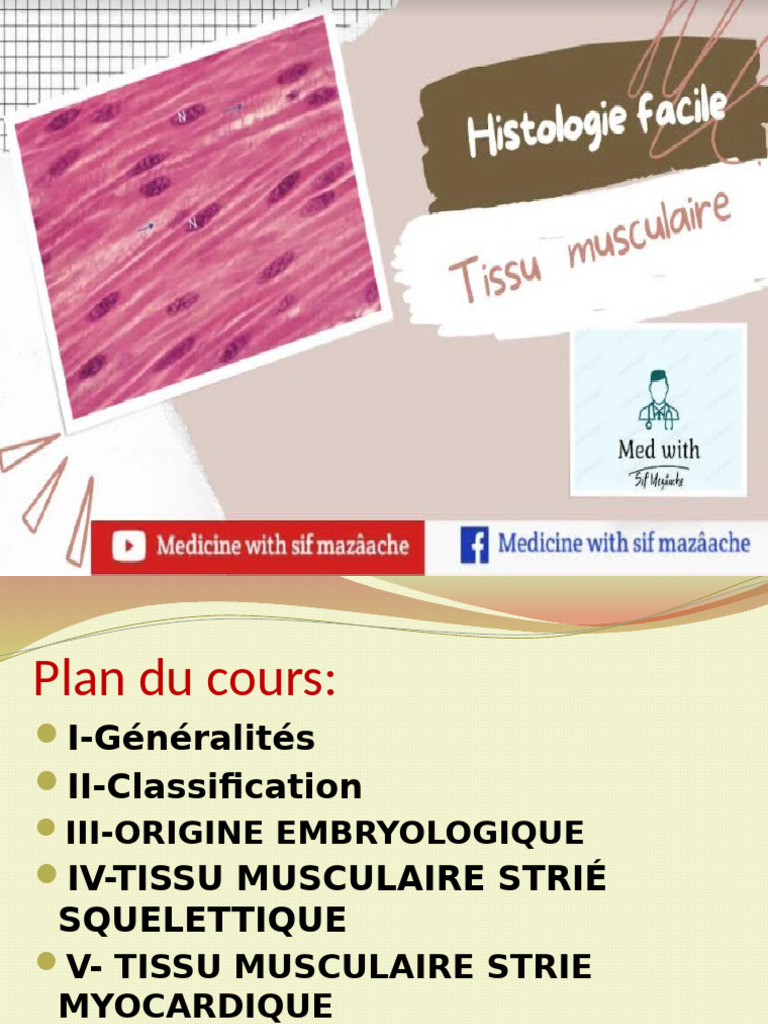 Anatomie et classification des tissus musculaires | PDF | Muscle ...