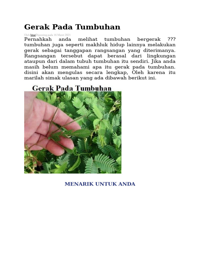 Gerak Tumbuhan: Jenis dan Contoh | PDF