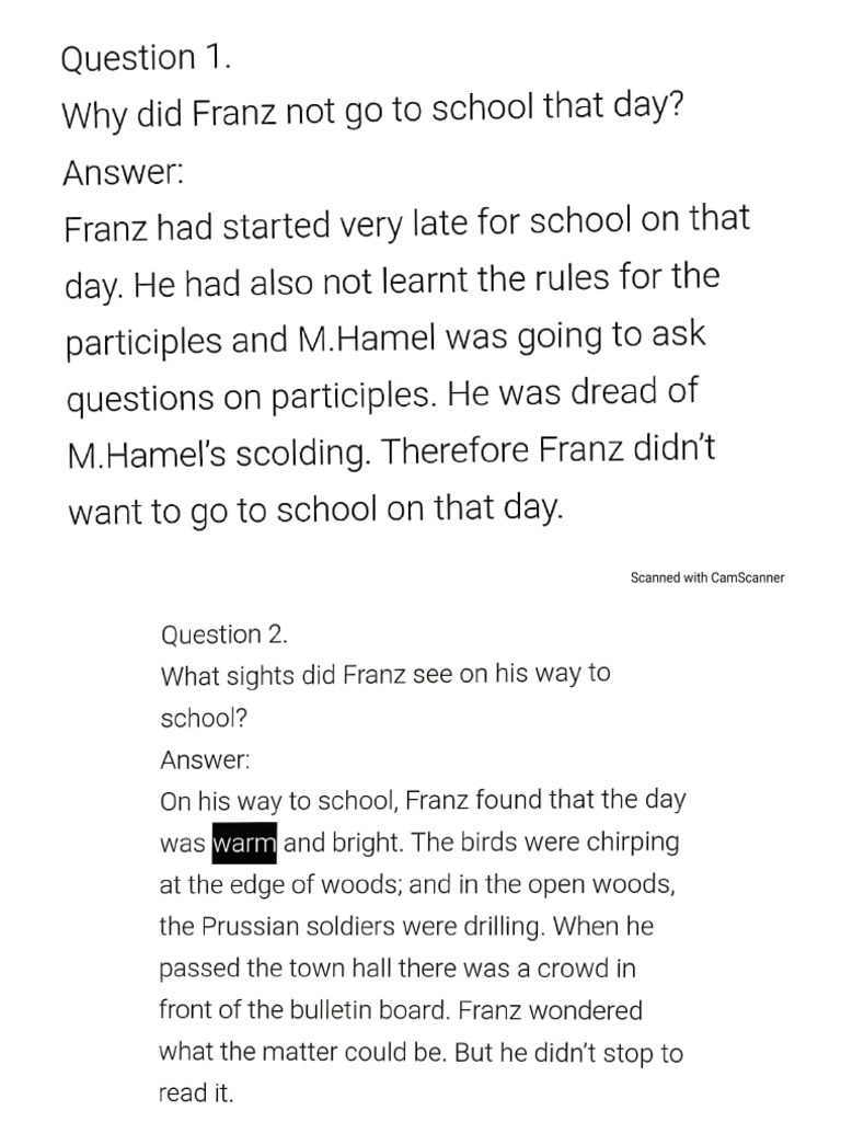 The Last Lesson | PDF