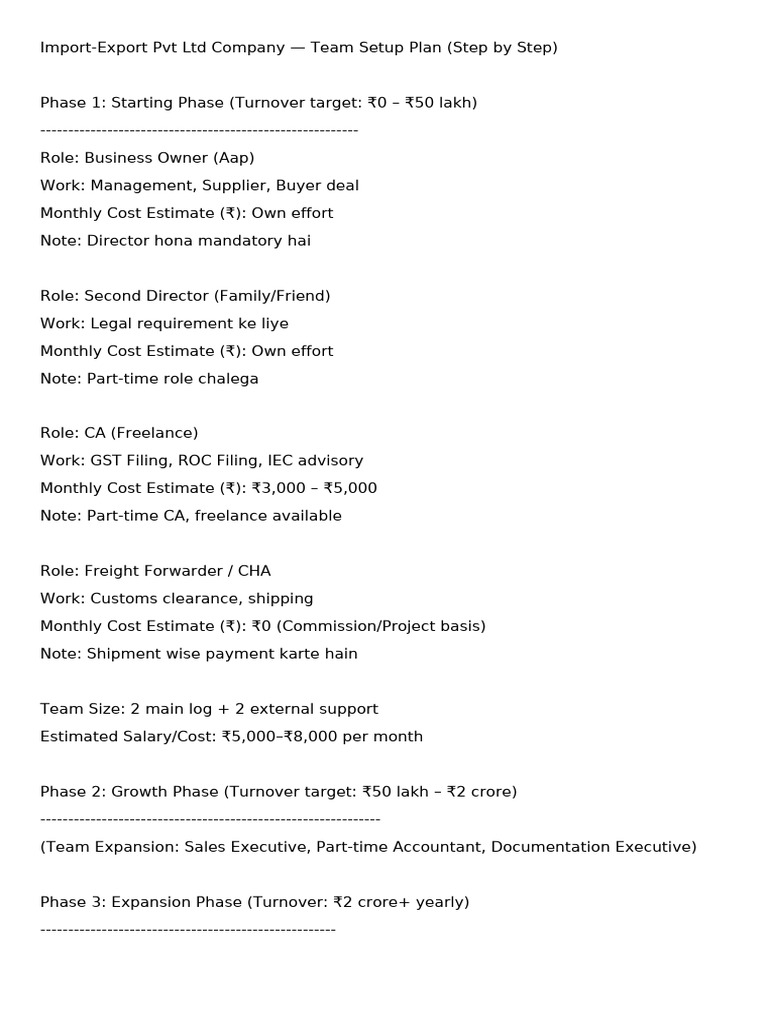 Import Export Team Setup Plan | PDF