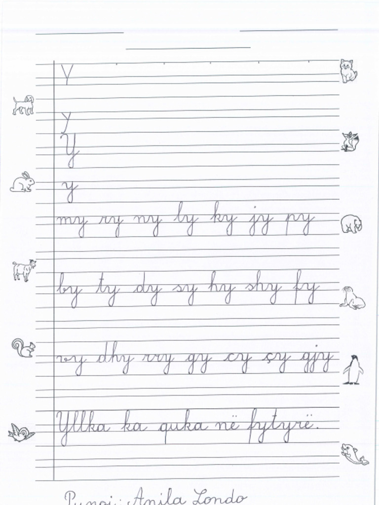 Shkronja Y | PDF