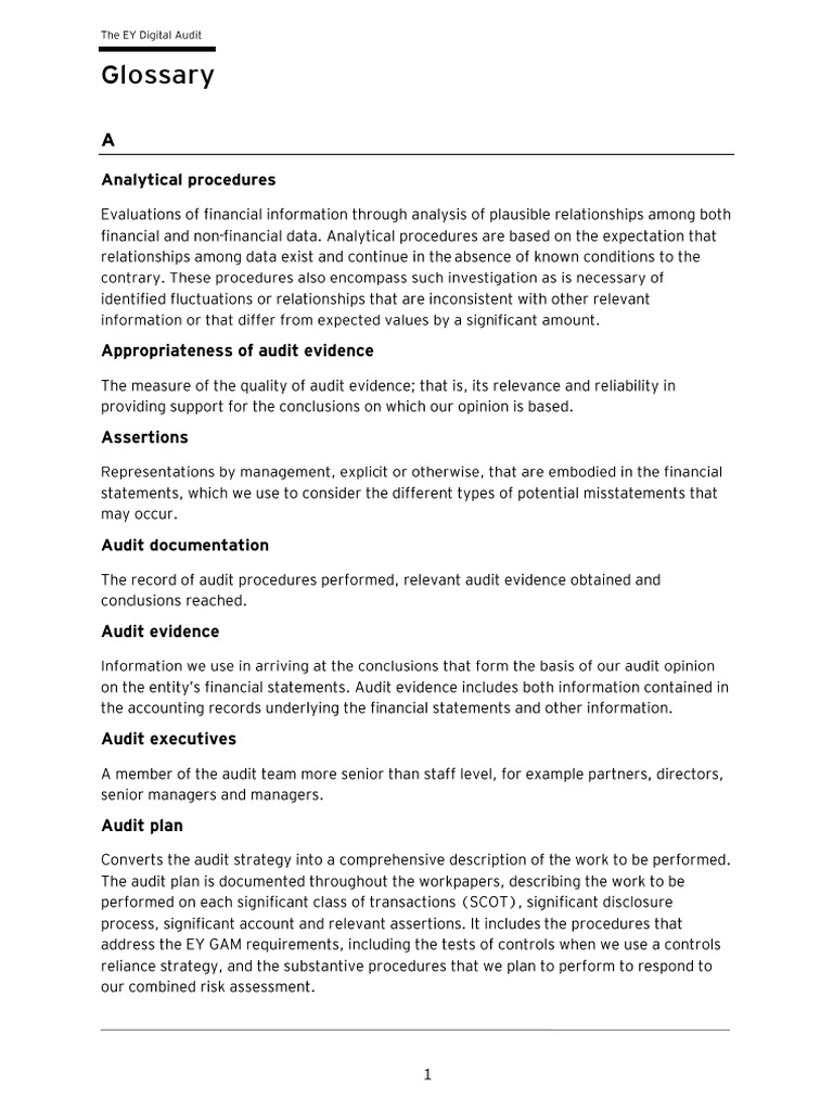 The EY Digital Audit Glossary | PDF
