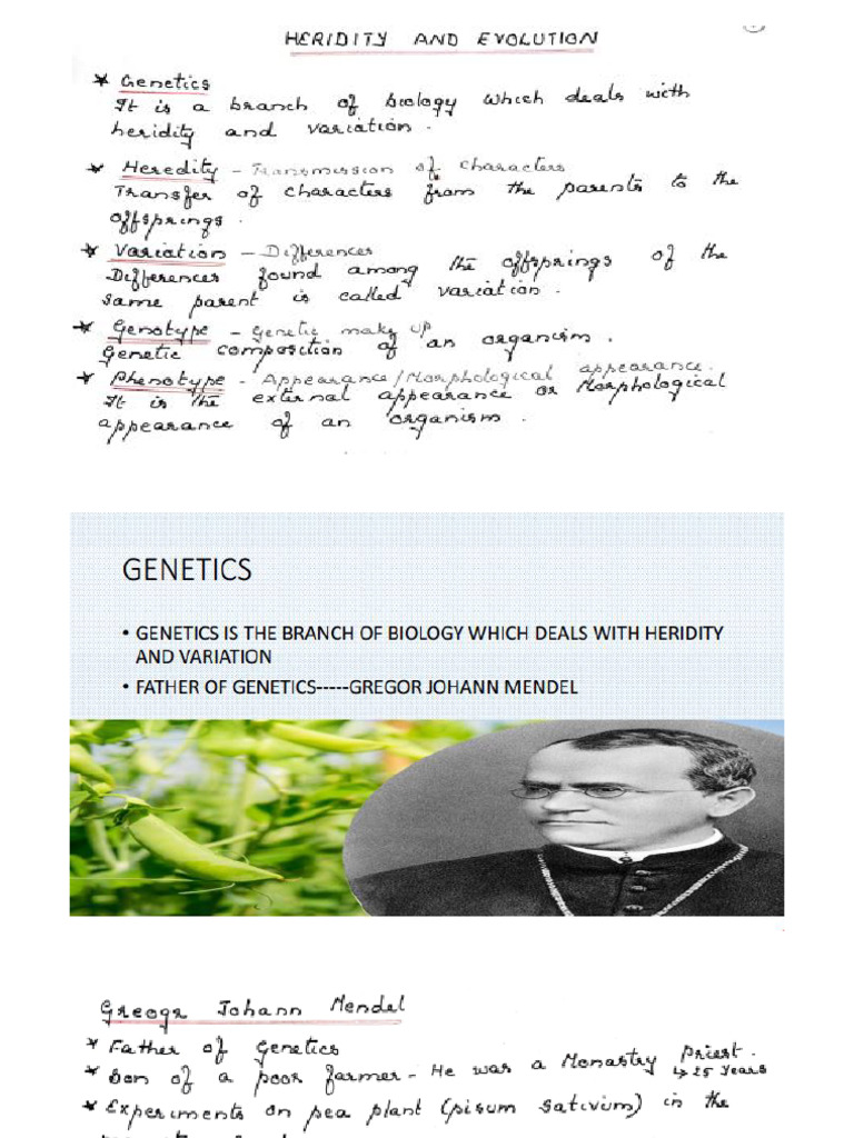 heredity notes | PDF