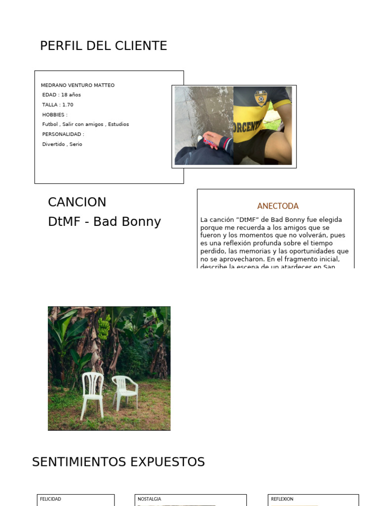 Perfil Del Cliente | PDF