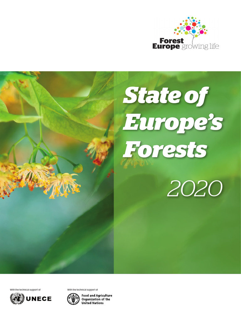 SoEF_2020 | PDF | Soil | Forests