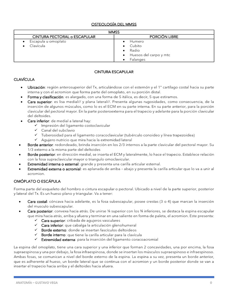 OSTEOLOGIA DEL MMSS | PDF | Mano | Codo
