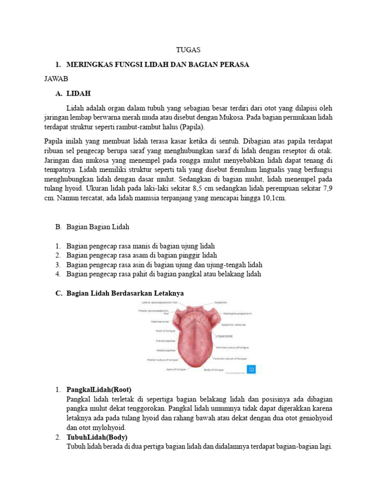 Meringkas Fungsi Lidan Dan Sistem Pencernaan | PDF