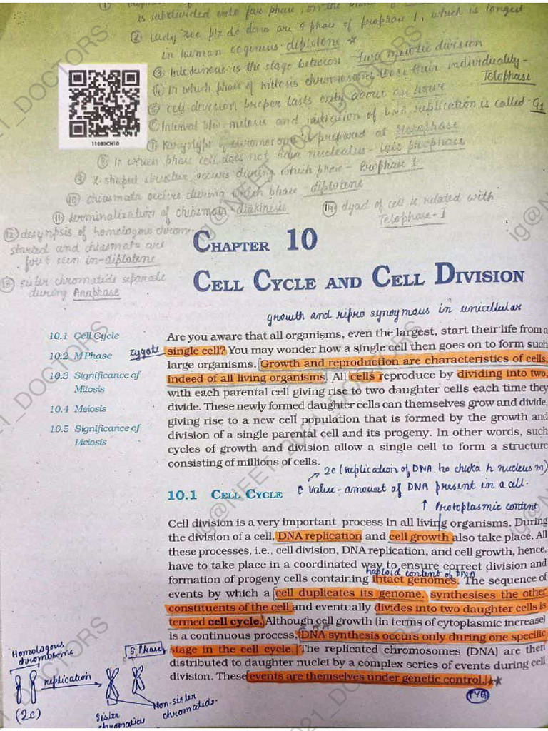 NCERT HANDWRITTEN ?cell Cycle & Cell Division | PDF