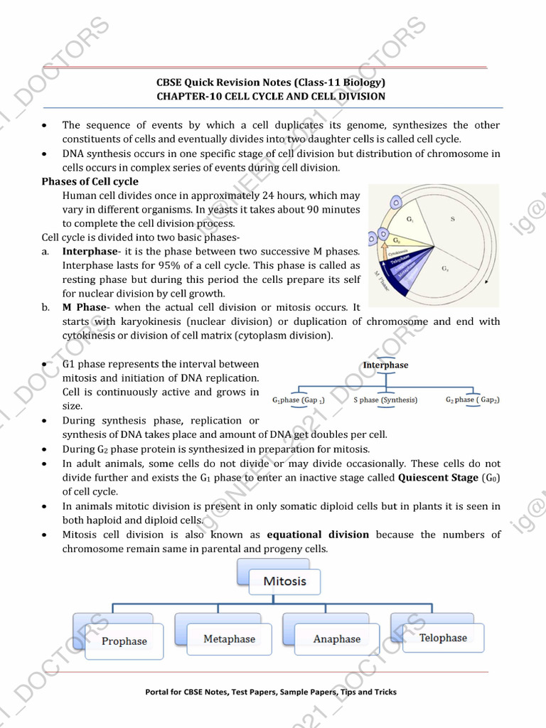 Short Notes ? Cell Cycle & Cell Division | PDF