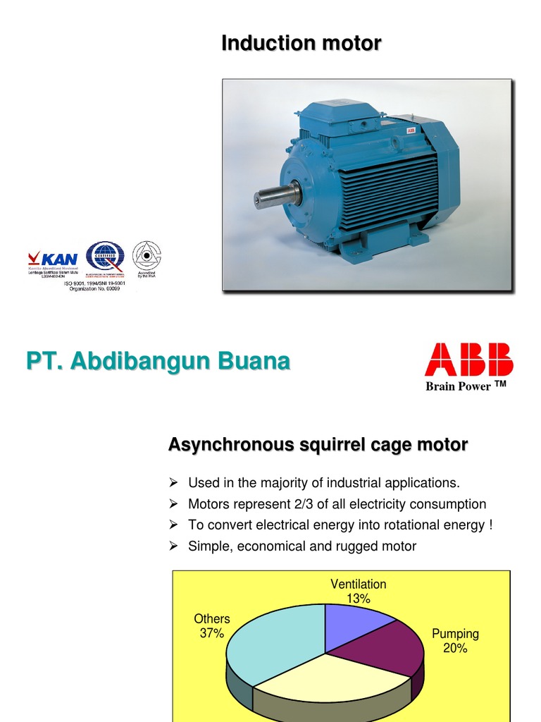 Induction Motor | PDF | Electric Motor | Electric Power