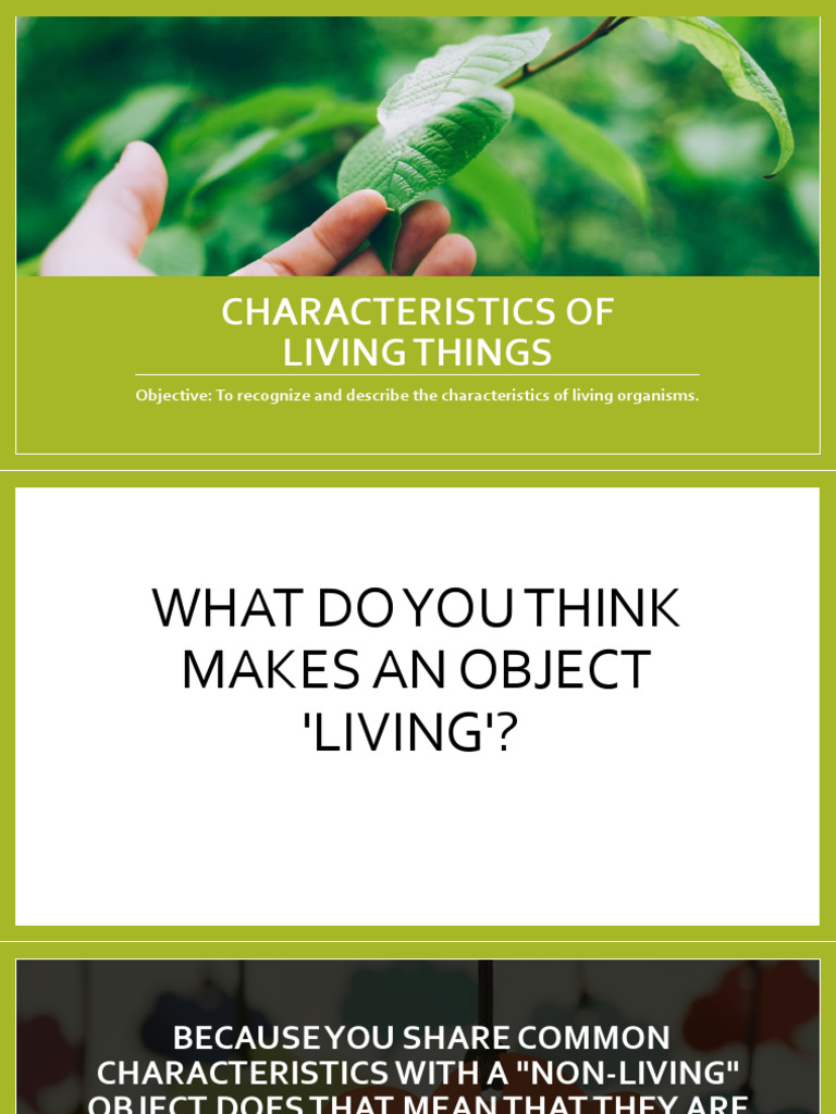 Characteristics of Living Things | PDF