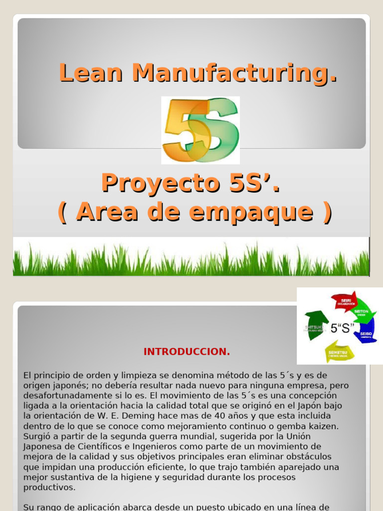 Proyecto 5S' | PDF | Lean Manufacturing | Business