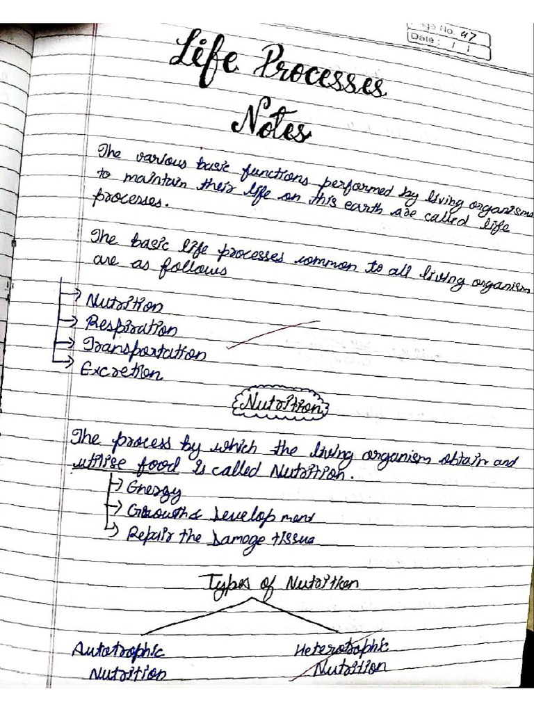 PDFReader 20250519 2138 | PDF