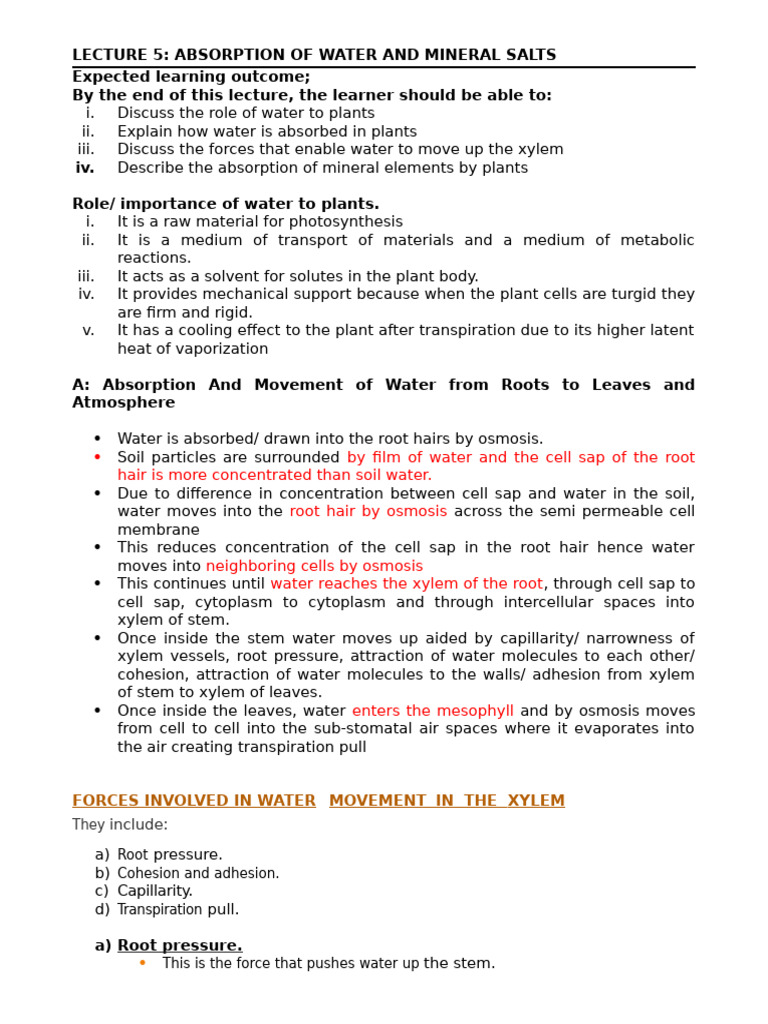 Water and Mineral Salt Absorption in Plants | PDF | Osmosis | Plant ...