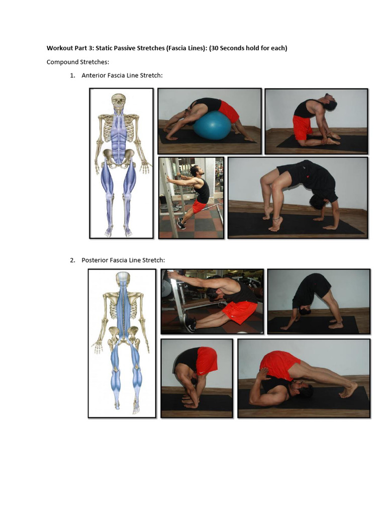 Fascia Line Stretches-1 | PDF