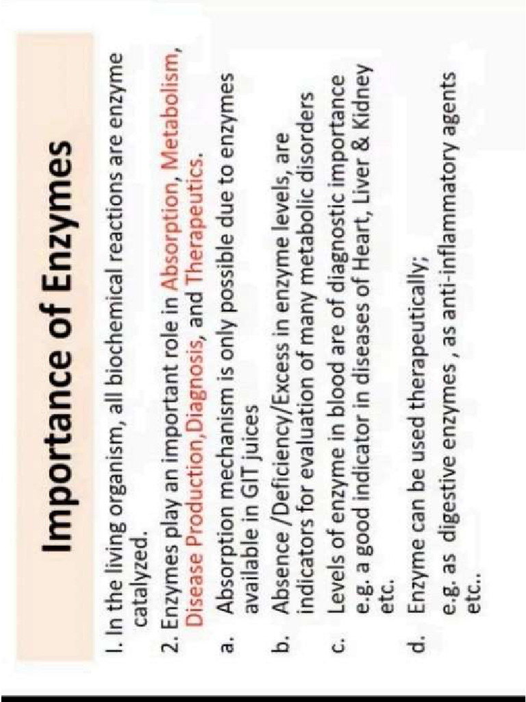 Enzymes 2nd Semester 2025 | PDF