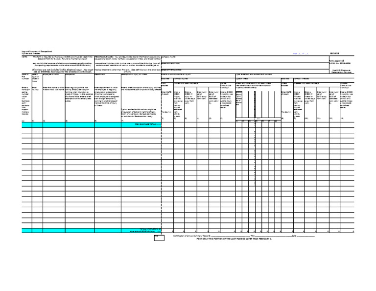 Occupational Injury and Illness Log | PDF
