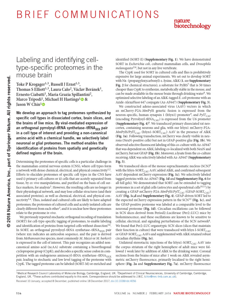 Cell-Type-Specific Proteome Tagging in Mice | PDF | Biology | Cell Biology